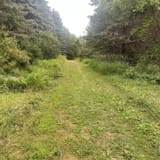 Point Douglas Trail, Minnesota - 257 Reviews, Map | AllTrails