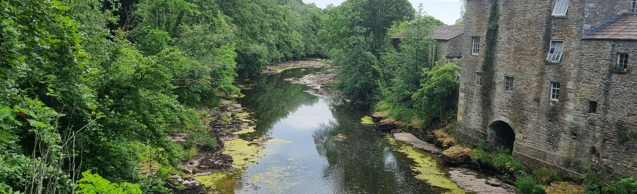 Aysgarth Walks: Upper Falls: 34 Reviews, Map - North Yorkshire, England ...