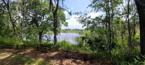 Best Hikes and Trails in Tenoroc Public Use Area | AllTrails