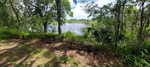 Best Hikes and Trails in Tenoroc Public Use Area | AllTrails