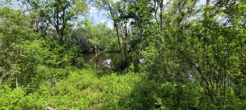 Best Hikes and Trails in Tenoroc Public Use Area | AllTrails