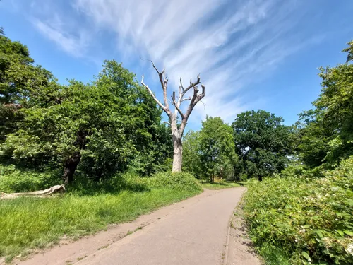 Best Hikes and Trails in Tooting Bec Common | AllTrails