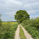 Old Basing Northern and River Loddon Circular, Hampshire, England - 195 ...