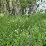 Old Basing Northern and River Loddon Circular, Hampshire, England - 195 ...