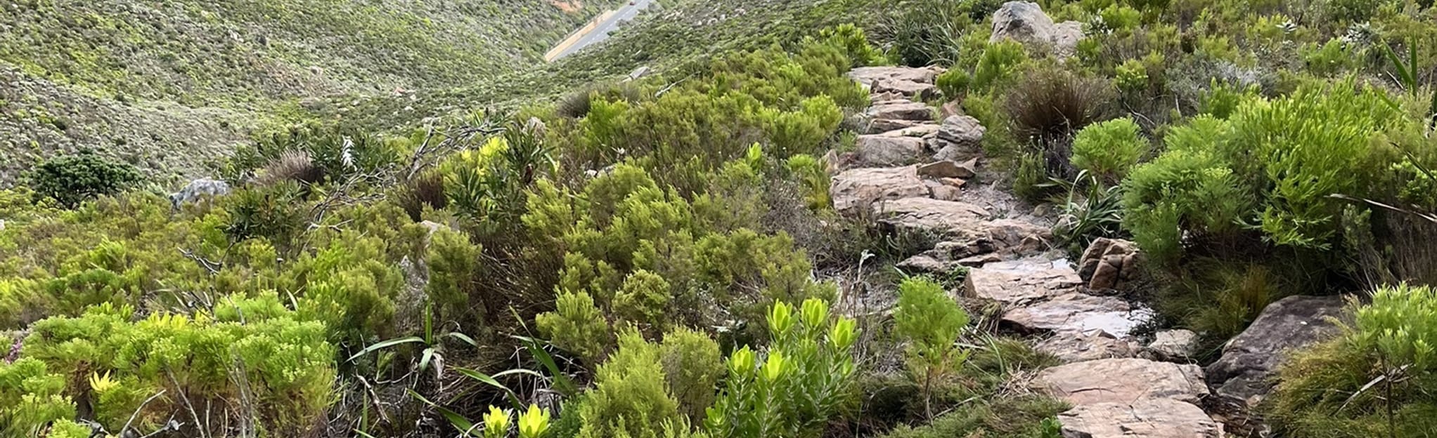 Noordhoek Peak, Western Cape, South Africa - 40 Reviews, Map | AllTrails
