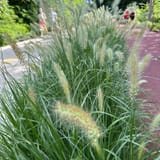 Katy Trail: Downtown Dallas, Texas - 1,638 Reviews, Map | AllTrails