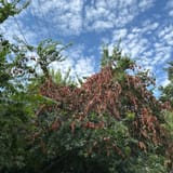 Katy Trail: Downtown Dallas, Texas - 1,674 Reviews, Map | AllTrails