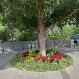 Katy Trail: Downtown Dallas, Texas - 1,674 Reviews, Map | AllTrails