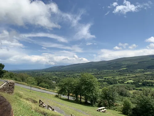 Best Kid Friendly Trails in Bansha Forest | AllTrails