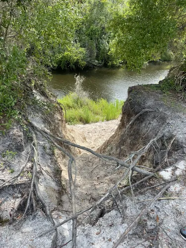 Best Hikes and Trails in Rye Preserve | AllTrails