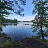 Haggetts Rail Trail to Haggetts Pond, Massachusetts - 409 Reviews, Map ...