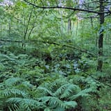 Haggetts Rail Trail to Haggetts Pond, Massachusetts - 409 Reviews, Map ...