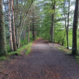 Haggetts Rail Trail to Haggetts Pond, Massachusetts - 409 Reviews, Map ...