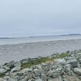 Padilla Bay Trail, Washington - 642 Reviews, Map | AllTrails