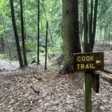 Cook Trail, Pennsylvania - 162 Reviews, Map | AllTrails