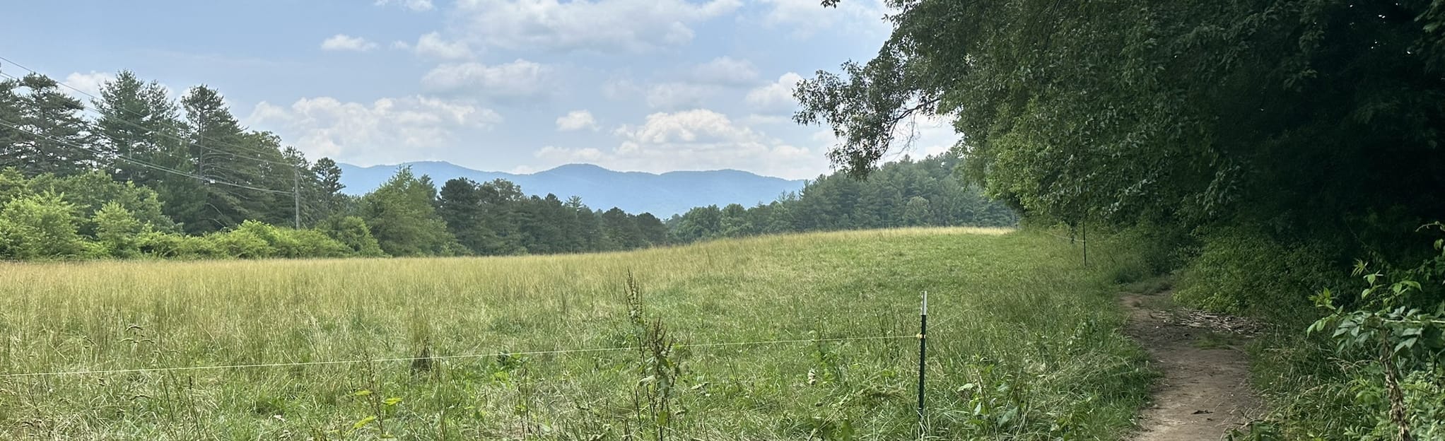Big Berea Trail, Bull Creek Trail, and White Pine Loop, North Carolina ...