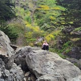 Ragged Point Inn Trail, California - 166 Reviews, Map | AllTrails