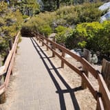 Sand Harbor Nature Trail, Nevada - 369 Reviews, Map | AllTrails