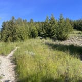 Big Butte Loop, Montana - 223 Reviews, Map | AllTrails
