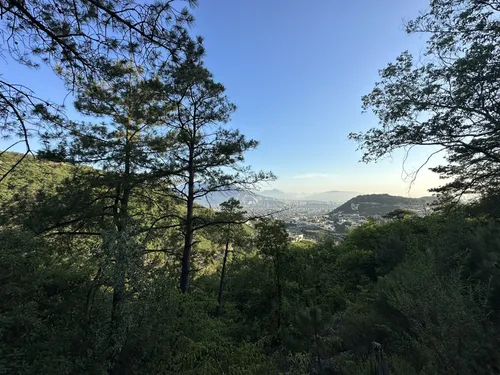Los 10 mejores senderos y rutas para hacer senderismo en Parque ...