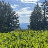 Bogus Basin Loop Trail, Idaho - 252 Reviews, Map | AllTrails