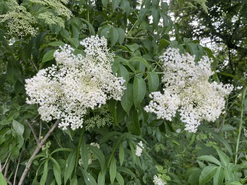 Best Hikes and Trails in Burkhart Creek County Park | AllTrails