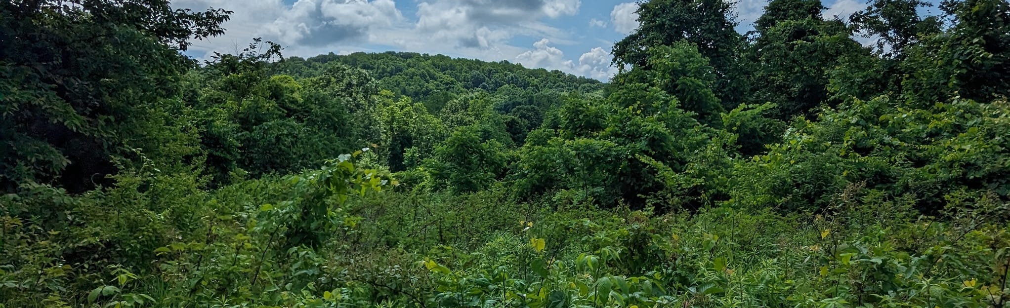 Duff Park and Pleasant Valley Park Grand Loop, Pennsylvania - 101 ...