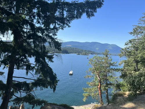 Best Hikes and Trails in Sproat Lake Provincial Park | AllTrails