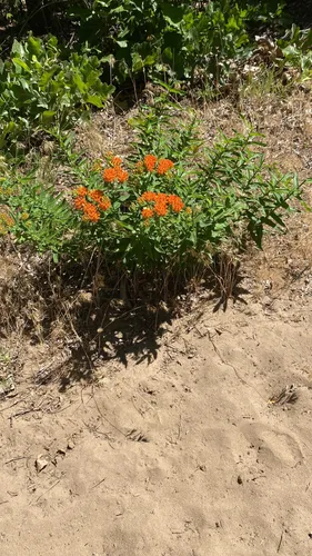 2023 Best Trail Running Trails in Sand Ridge State Forest | AllTrails