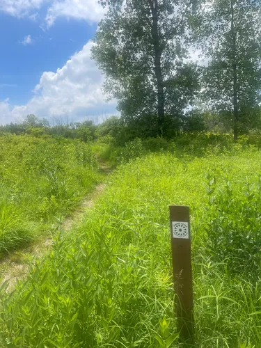 Best Hikes and Trails in Grobschmidt Park | AllTrails