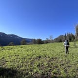 Goodwin Lake Trail, Wyoming - 320 Reviews, Map | AllTrails