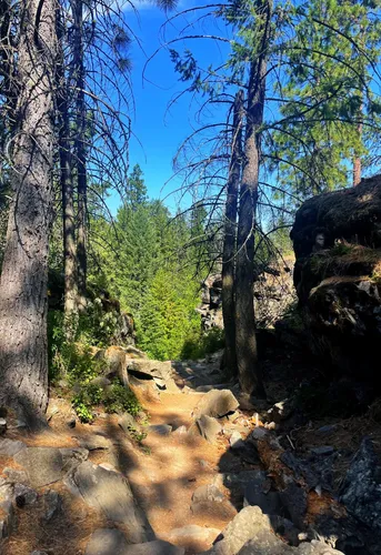 2023 Best 10 Trails and Hikes in Post Falls | AllTrails