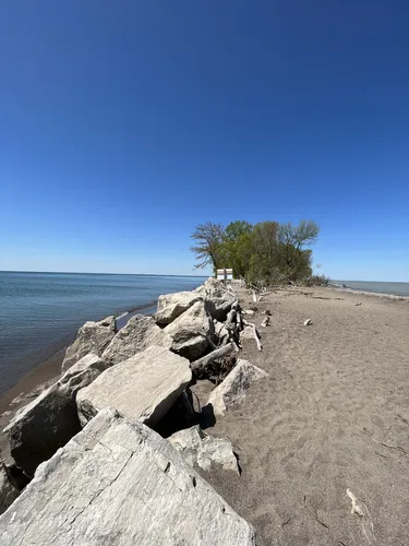 Best Wild Flowers Trails in Point Pelee National Park | AllTrails