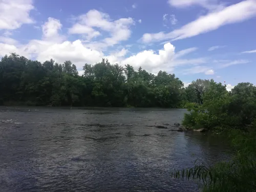 Best Hikes and Trails in Shannondale Springs Wildlife Management Area ...