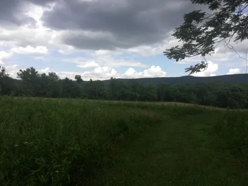 Best Hikes and Trails in Shannondale Springs Wildlife Management Area ...