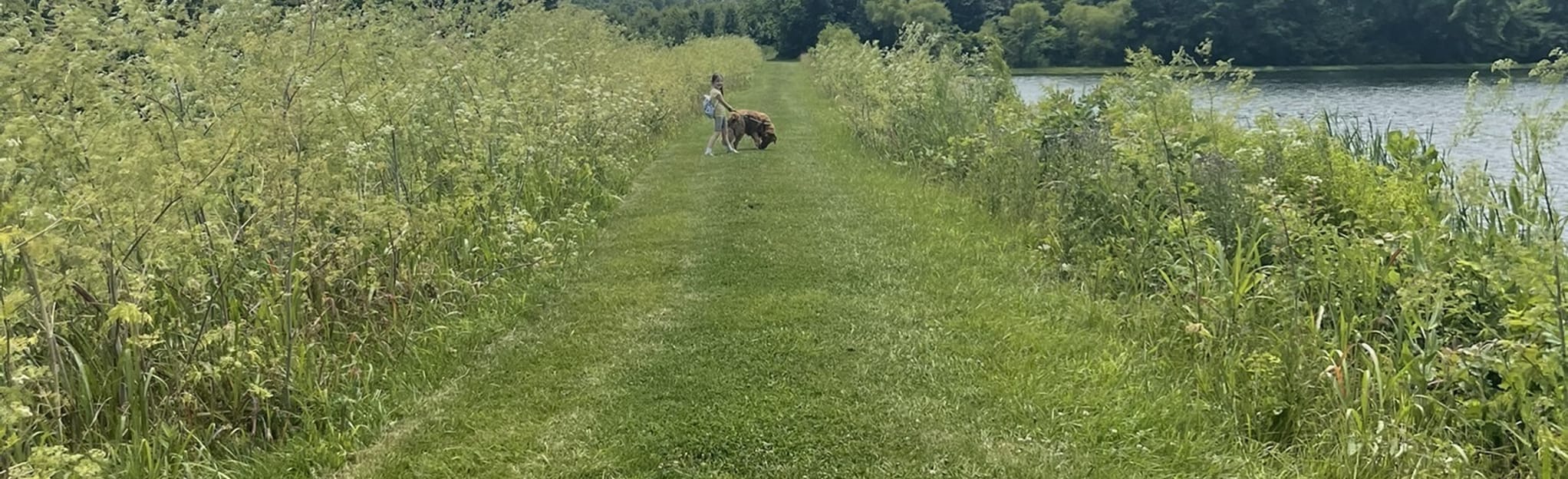 Long Run Park: 23 Reviews, Map - Kentucky | AllTrails