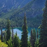 Heather Park via Lake Angeles Trail, Washington - 262 Reviews, Map ...