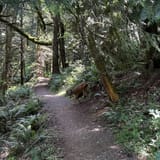 Tradition Lake Loop Trail, Washington - 1,473 Reviews, Map | AllTrails