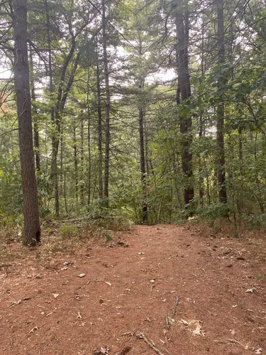 Best Hikes and Trails in Walpole | AllTrails