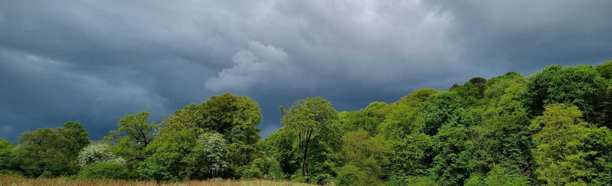 Styal and Airport Circular, Cheshire, England - 860 Reviews, Map ...