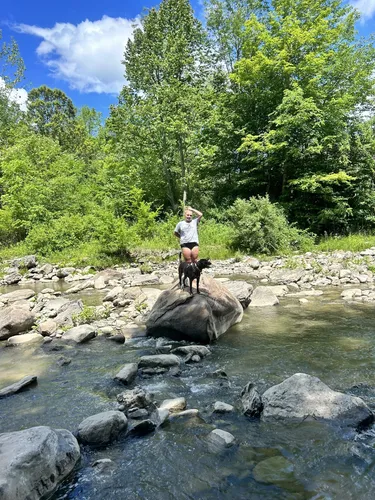 Best Hikes and Trails in Cobleskill | AllTrails