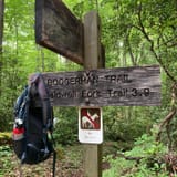 The Boogerman Trail, North Carolina - 445 Reviews, Map | AllTrails