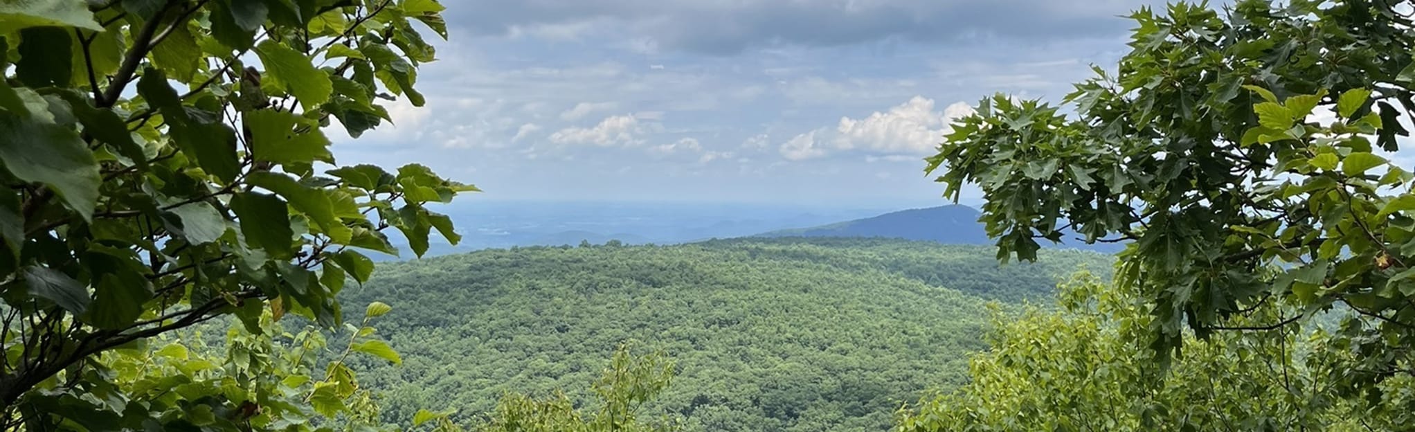 Compton Gap to Jenkins Gap via Appalachian Trail: 211 Reviews, Map ...