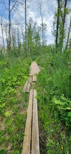 Best Hikes and Trails in Hibou Conservation Area | AllTrails