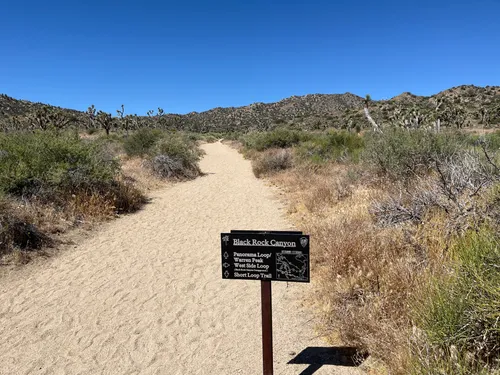 10 Best Trails and Hikes in Yucca Valley | AllTrails