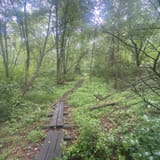 Liberty Loop Trail, New York - 416 Reviews, Map | AllTrails