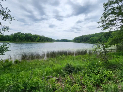 Best Hikes and Trails in Independence Oaks County Park | AllTrails