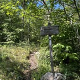Kennedy Peak Loop, Virginia - 540 Reviews, Map | AllTrails