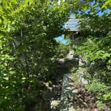 Kennedy Peak Loop, Virginia - 540 Reviews, Map | AllTrails