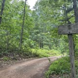 Kennedy Peak Loop, Virginia - 540 Reviews, Map | AllTrails